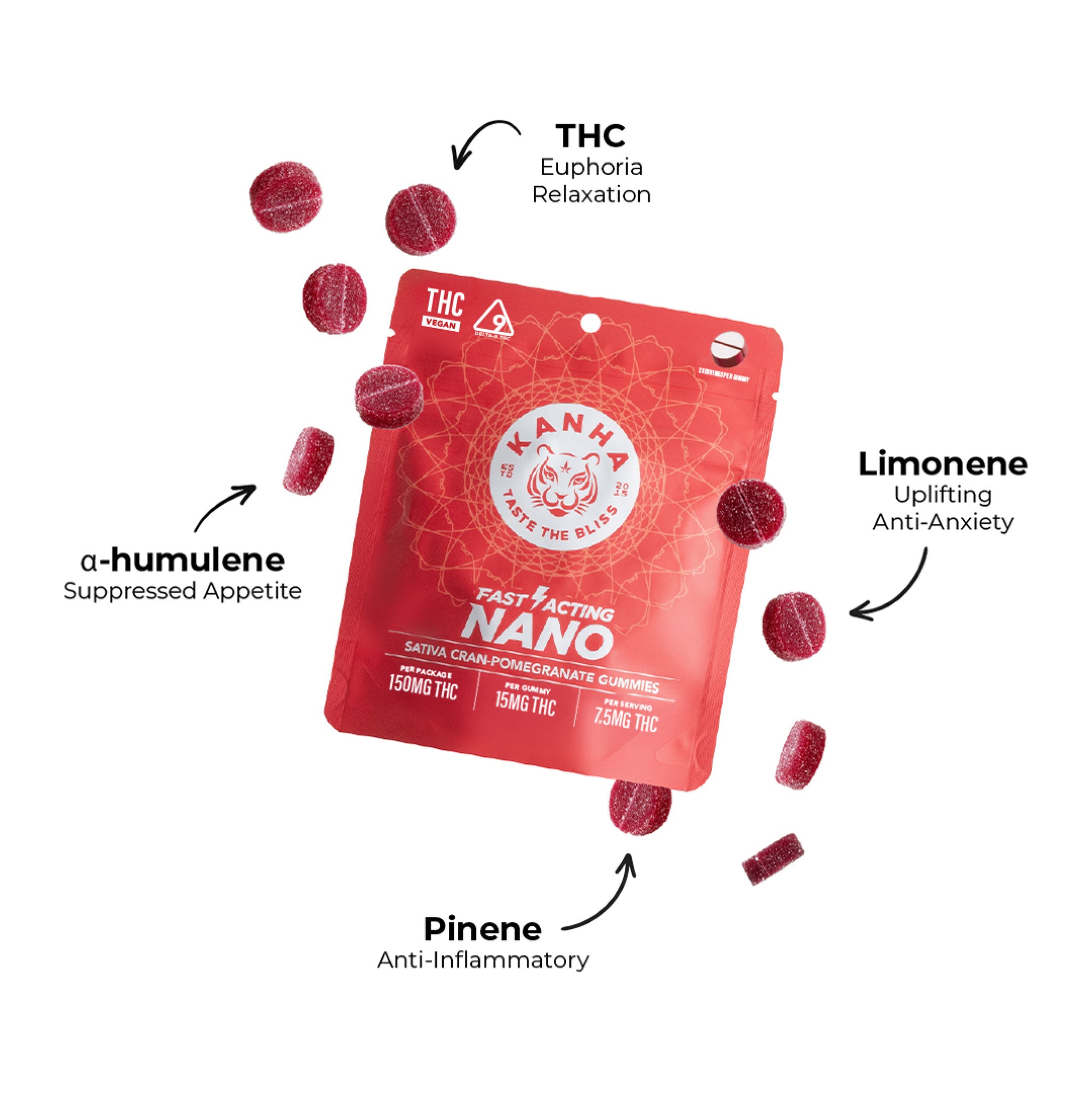 Fast-Acting NANO Bundle – KANHA Life